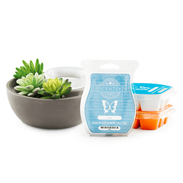 Scentsy System - $40 Warmer | Scentsy Online Store