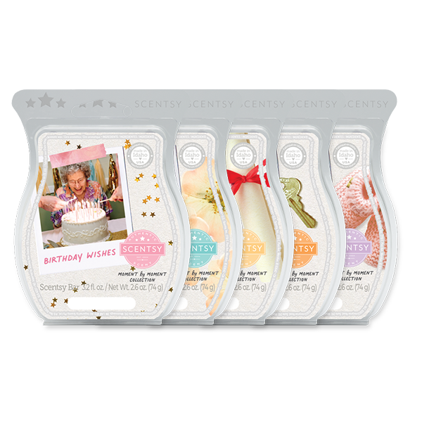 Moment by Moment 5 Bar Bundle | Scentsy Online Store