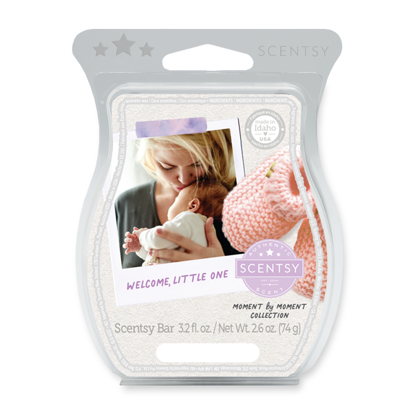 Moment by Moment 5 Bar Bundle | Scentsy Online Store