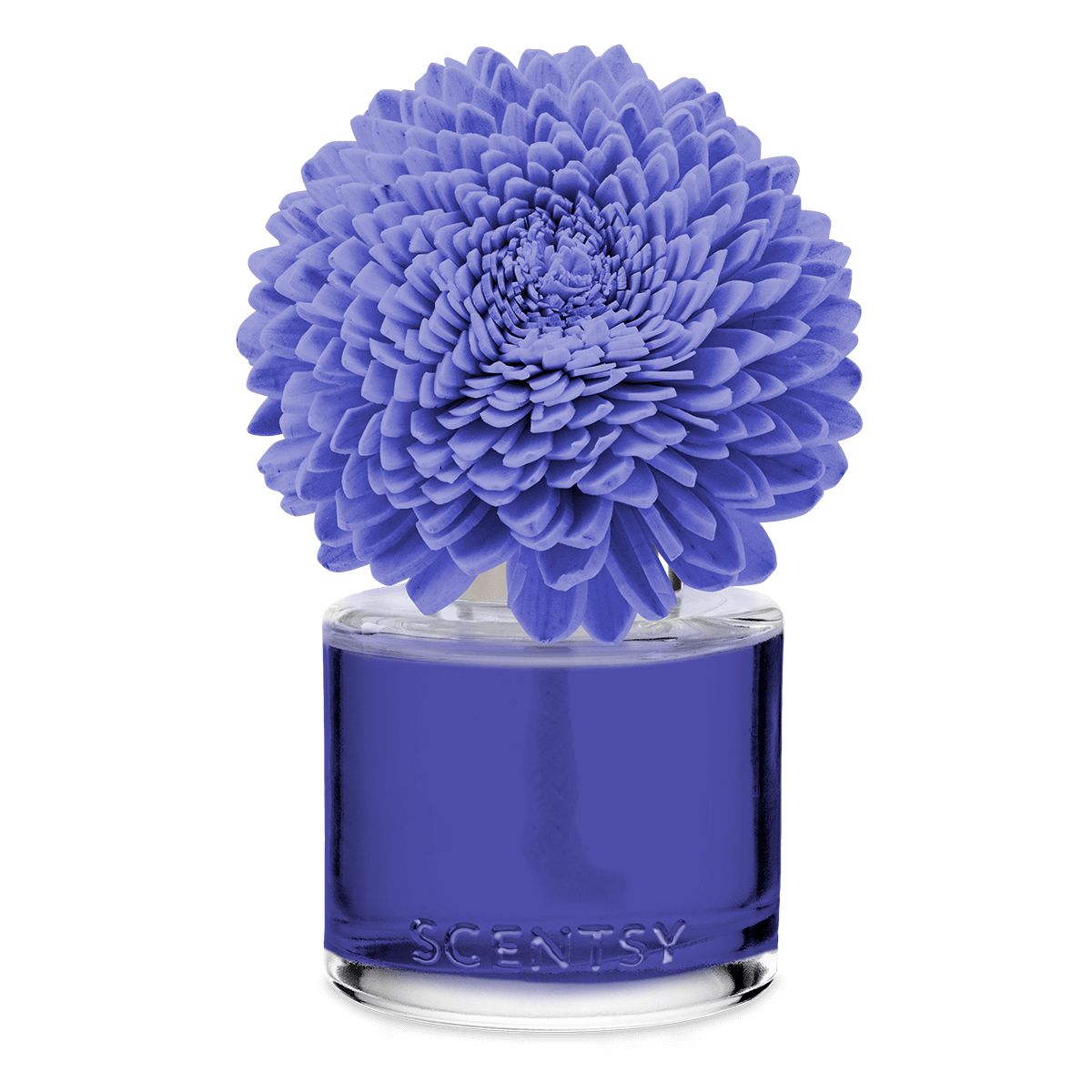 Magnolia Shimmer Fragrance Flower - Zinnia Zen | Scentsy Online Store