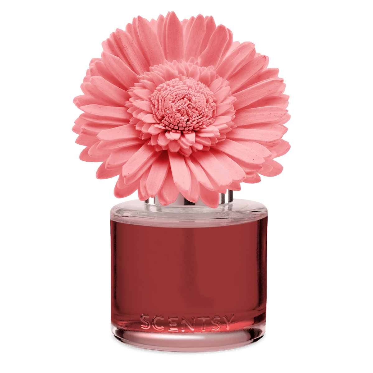 Pink Pineapple & Sugar Fragrance Flower - Dainty Daisy | Scentsy Online ...